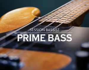 Free Download Native Instruments - Session Bassist Prime Bass (KONTAKT ...